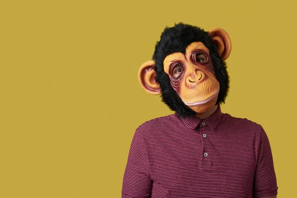 Monkey man Stock Photos, Royalty Free Monkey man Images | Depositphotos