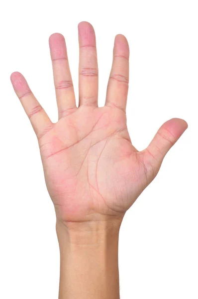 Hand salute Stock Photos, Royalty Free Hand salute Images | Depositphotos