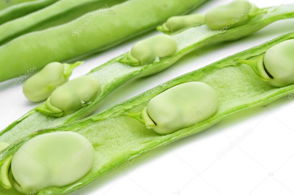 Broad bean pods close up — Stock Photo © nito103 #65473147