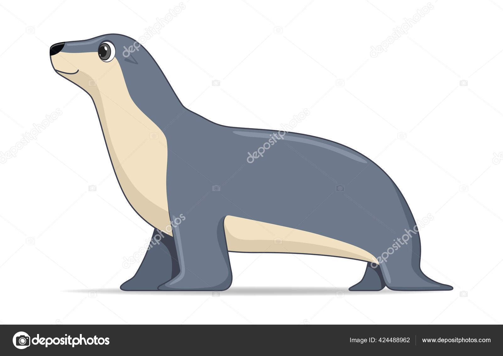 Australian Sealion Animal Standing White Background Cartoon Style ...