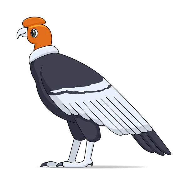 Andean Condor Drawing