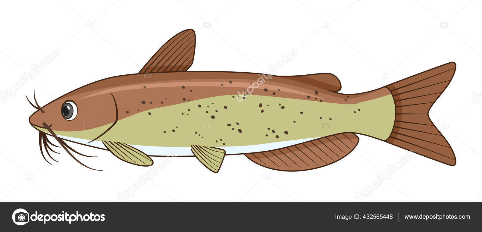 Image vectorielle Poisson Chat Canal Sur Fond Blanc Illustration ...