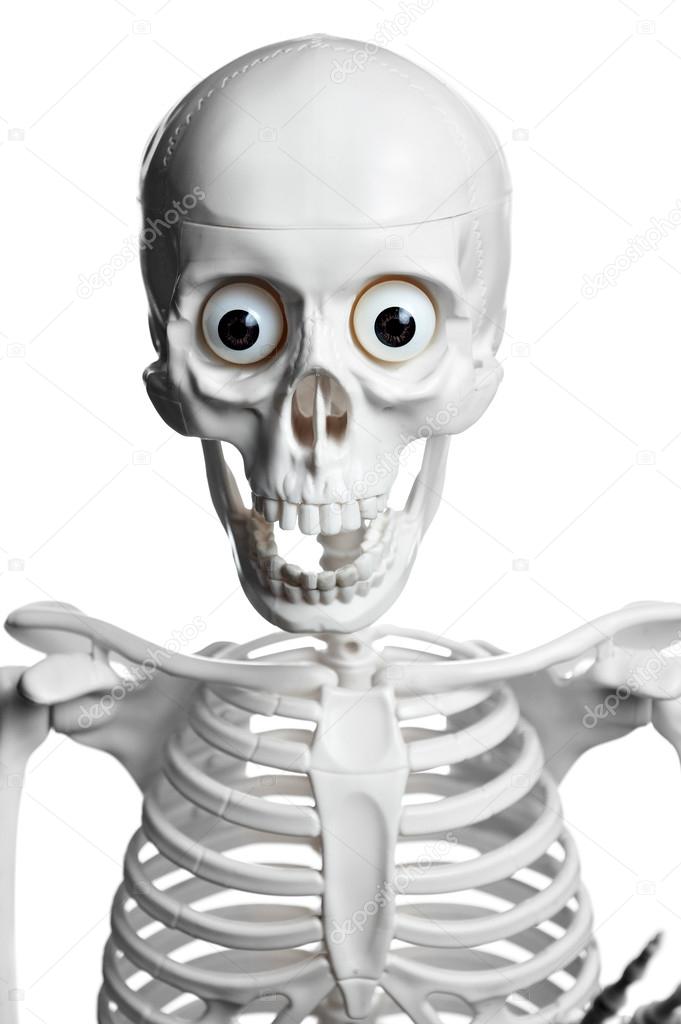 Surprised skeleton with open mouth — Stock Photo © be_low #93311672