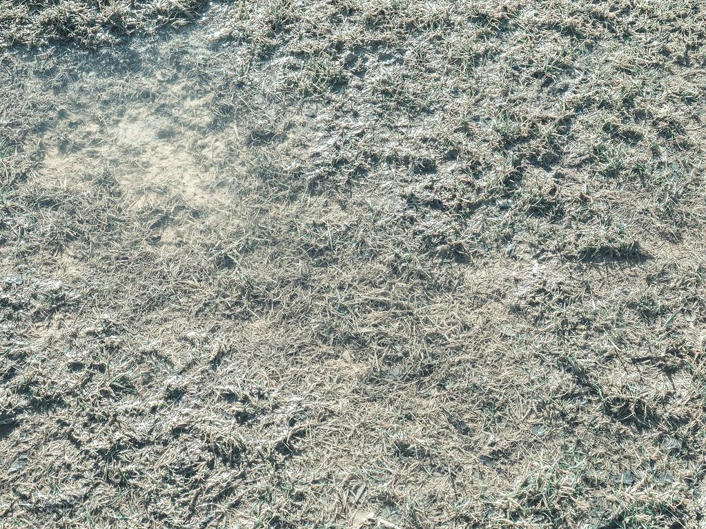 Marshland background Stock Photo by ©claudiodivizia 72486489