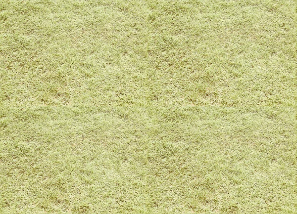 Retro looking Seamless tileable texture - green grass meadow - Stock ...
