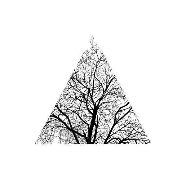 Tree triangle Vector Art Stock Images | Depositphotos