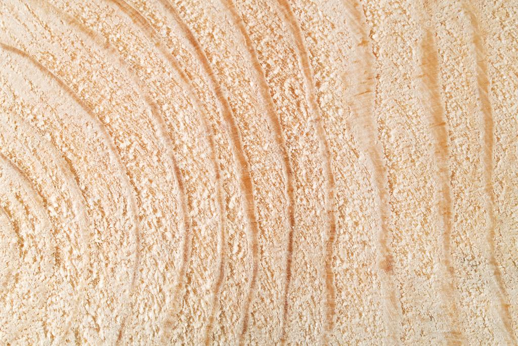 Newly cut tree wooden texture Stock Photo by ©ivanmateev 63425989