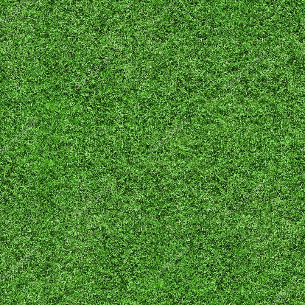 Grass Texture Hd