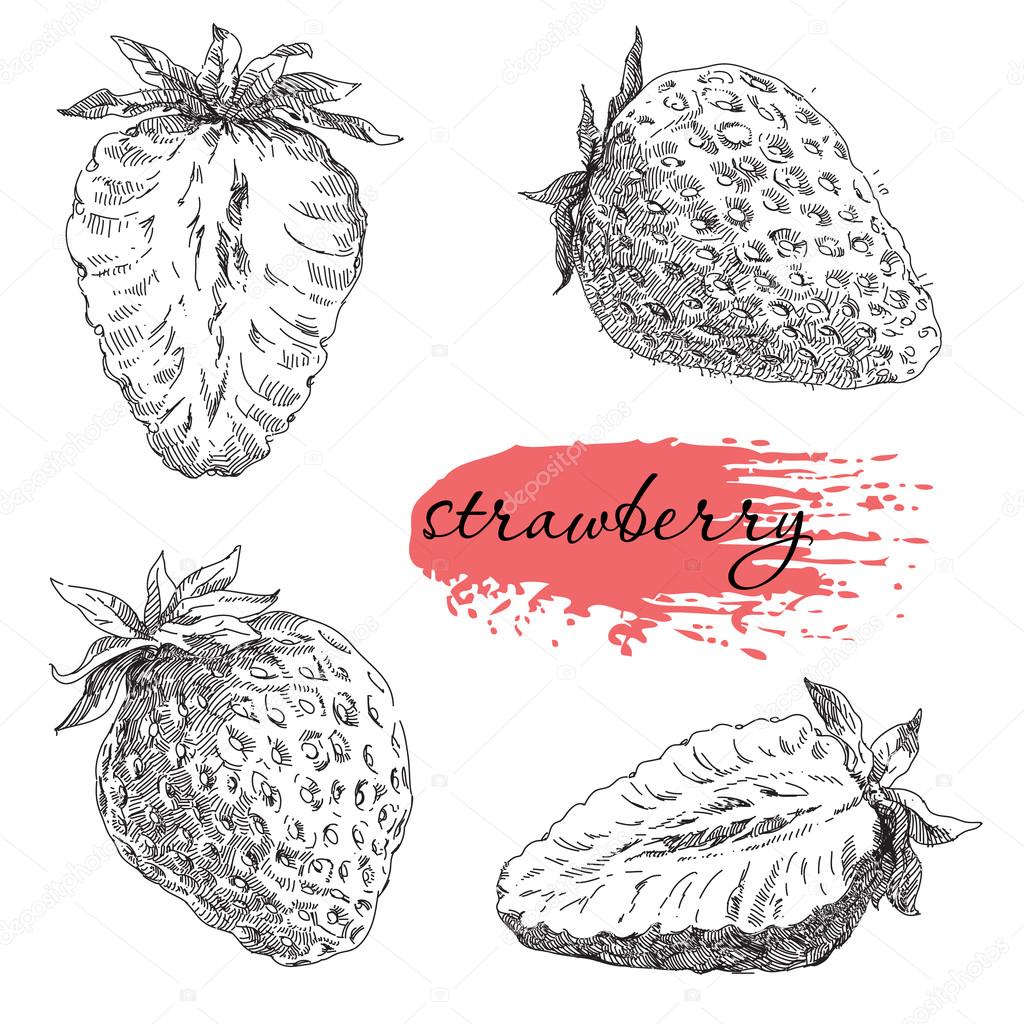 Collection of hand drawn strawberries isolated on white background ...