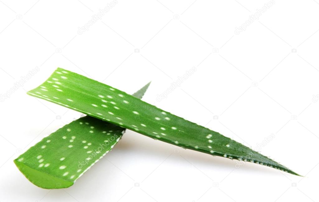 Aloe vera - color image Stock Photo by ©nenovbrothers 111639686
