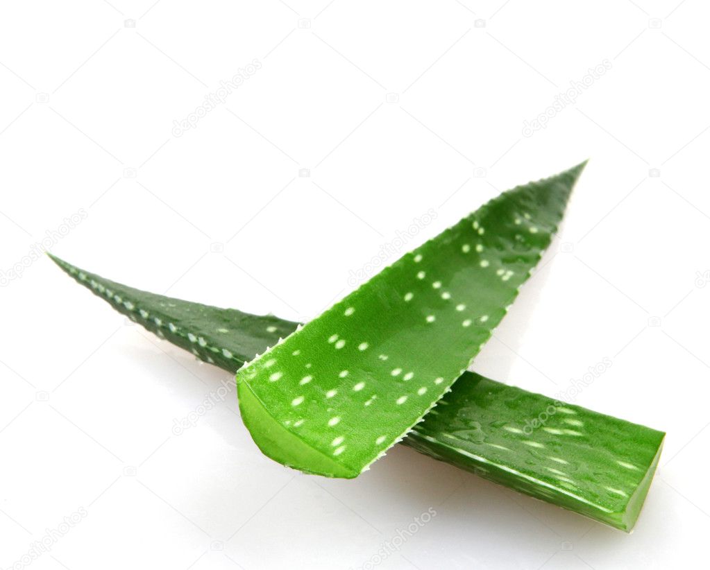 Aloe vera - color image — Stock Photo © nenovbrothers #111639936