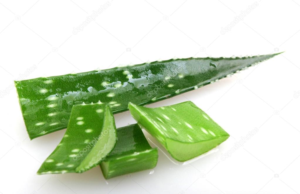 Aloe vera - color image — Stock Photo © nenovbrothers #111640286