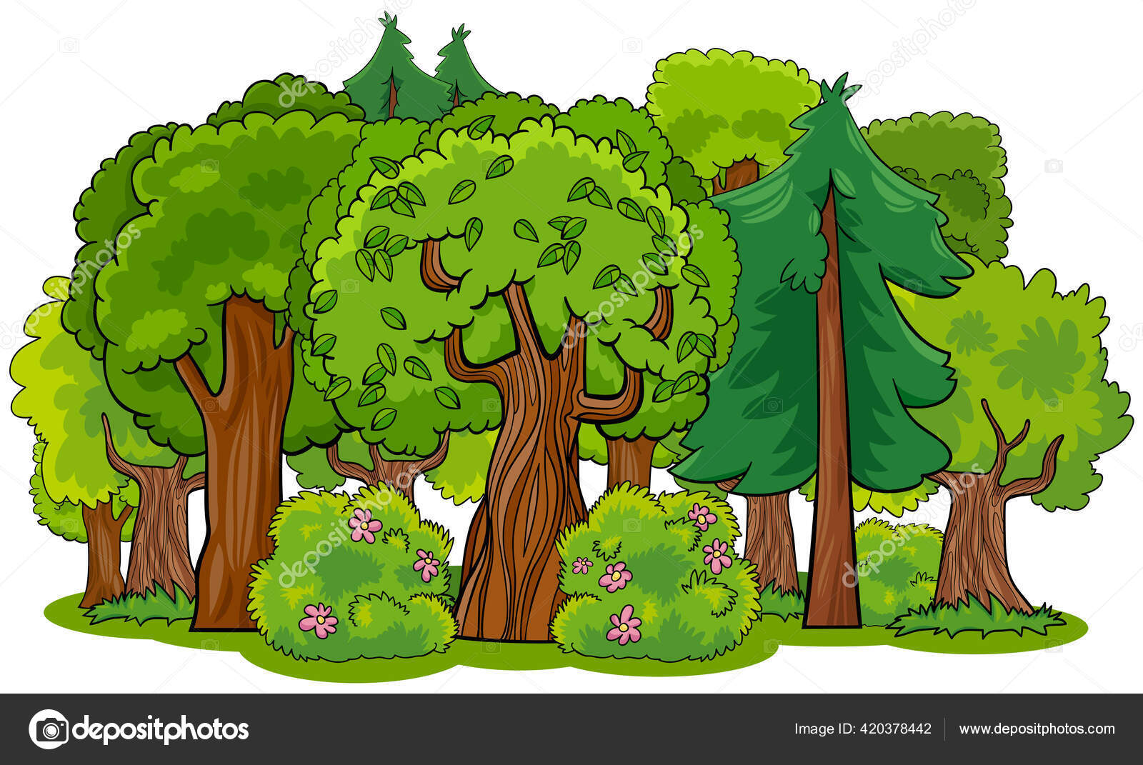 Deciduous Forest Cartoon