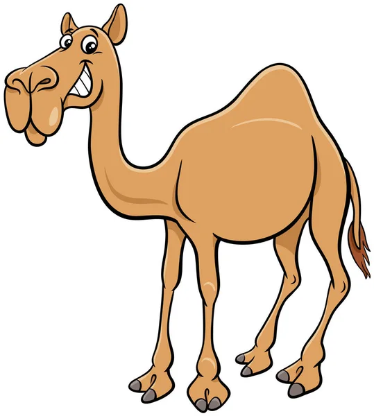 Cartoon camel Stock Photos, Royalty Free Cartoon camel Images ...