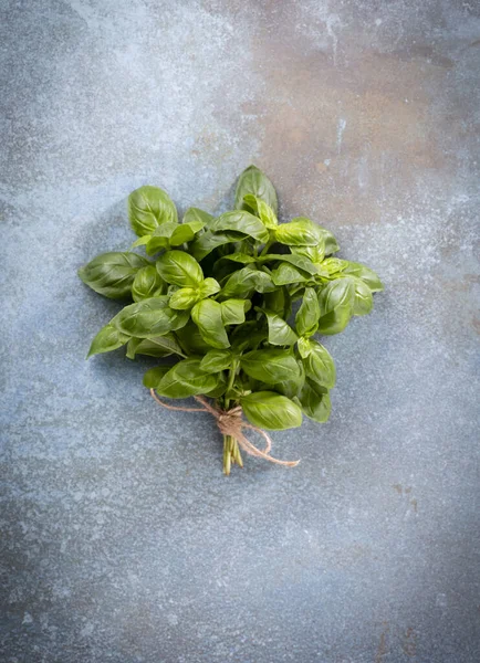 Jasna gora basilica Stock Photos, Royalty Free Jasna gora basilica Images | Depositphotos