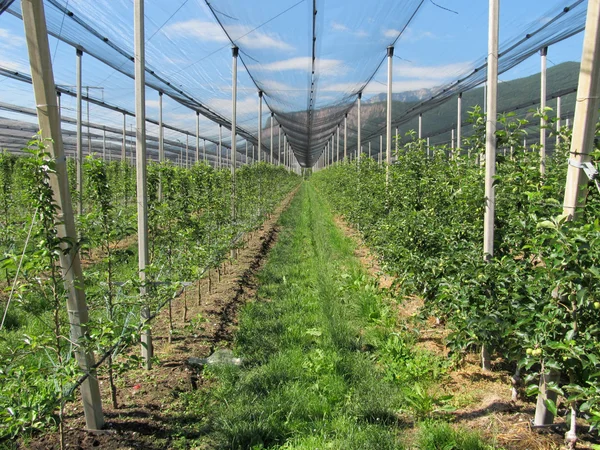 High density Stock Photos, Royalty Free High density Images | Depositphotos