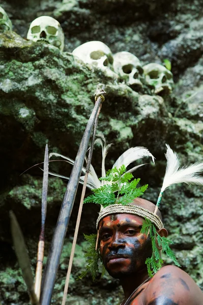 The warrior of a Papuan tribe of Yafi - Stock Image - Everypixel