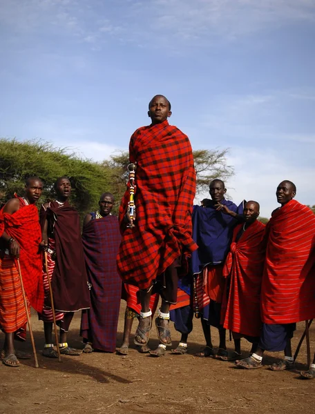 Masai warrior Stock Photos, Royalty Free Masai warrior Images ...