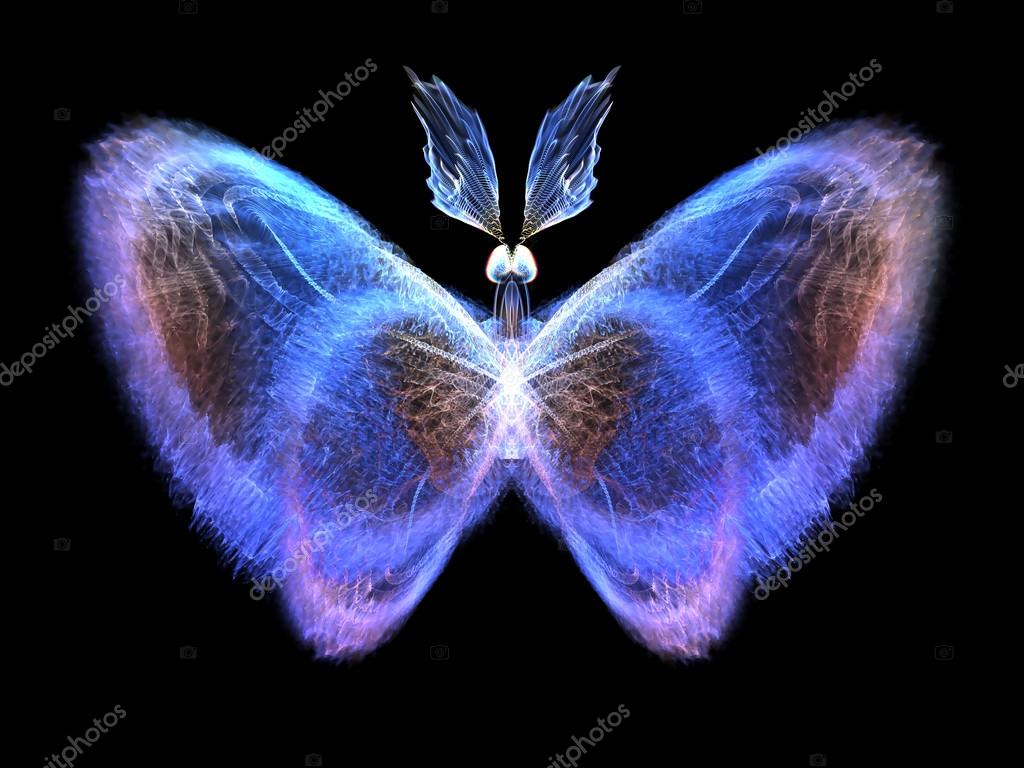 Pictures: cool butterfly | Cool Butterfly — Stock Photo © agsandrew ...