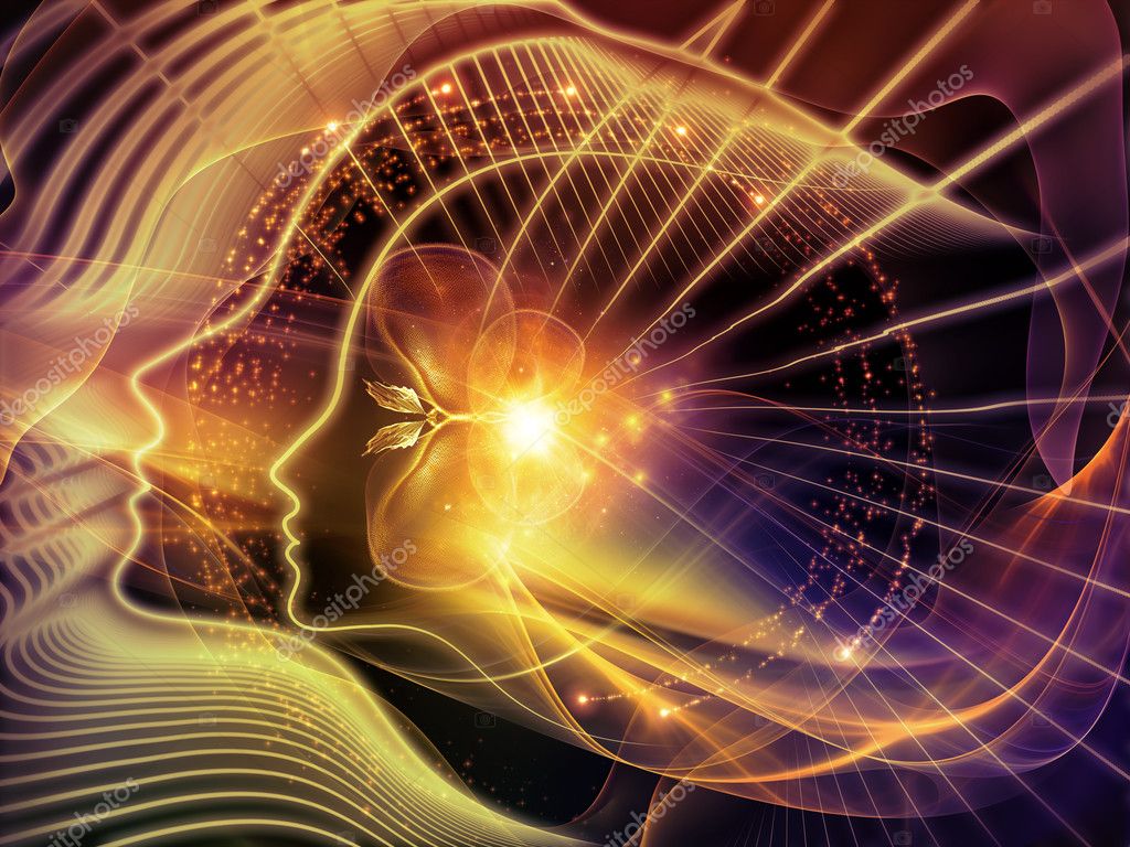 Elementos de las l neas interiores 2024