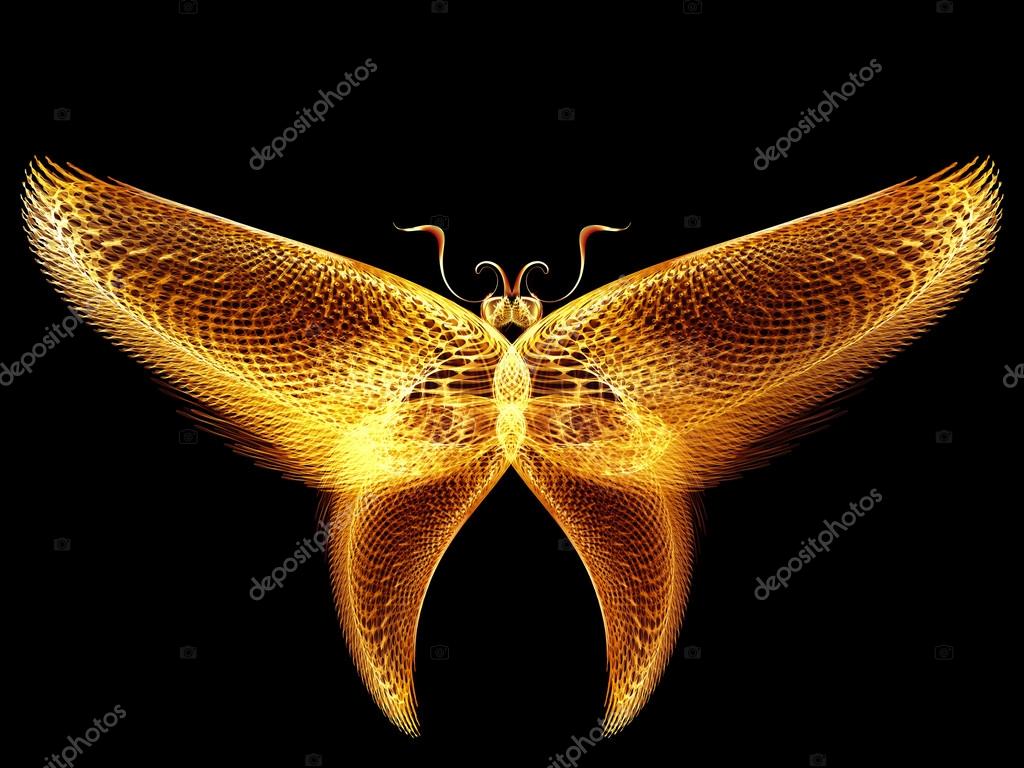 Butterfly Design — Stock Photo © agsandrew #68802005