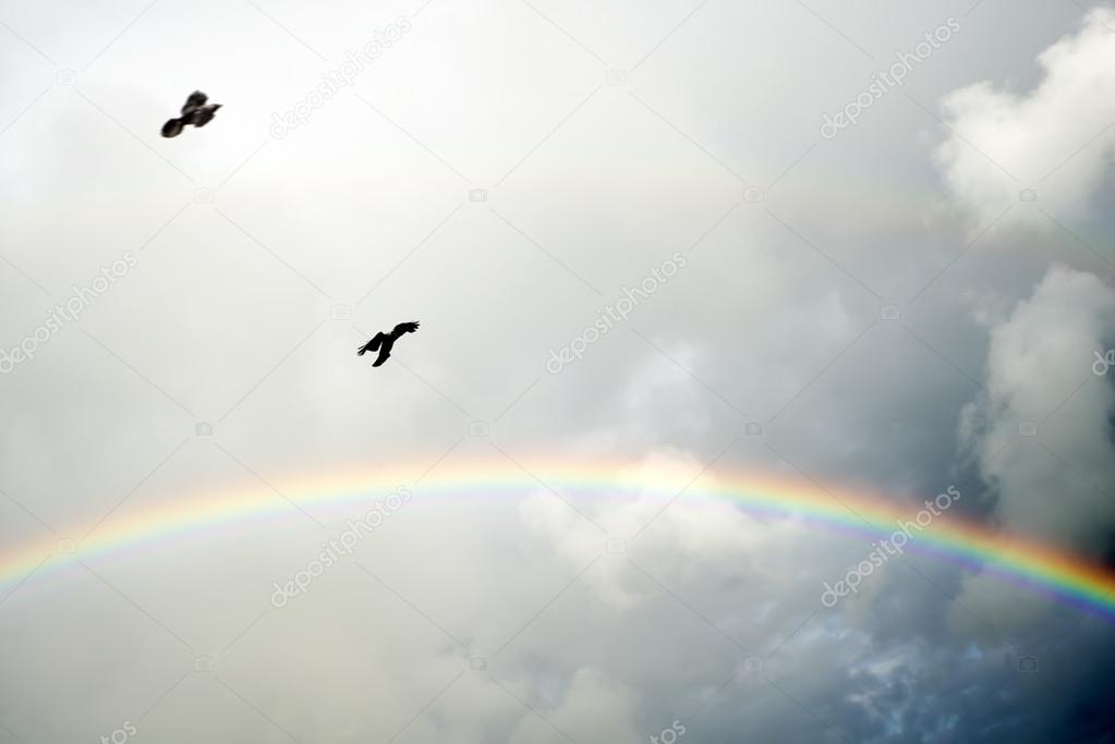 Crows flying in the storm winds Stock Photo by ©morrbyte 70644087