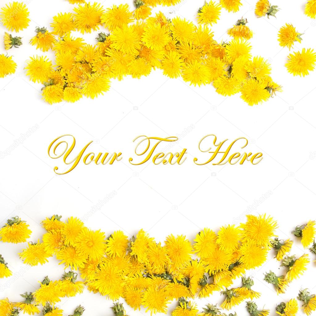 Floral dandelion border on white Stock Photo by ©Mulikov 116725262