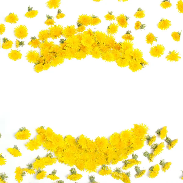 Floral dandelion border on white Stock Photo by ©Mulikov 116725262