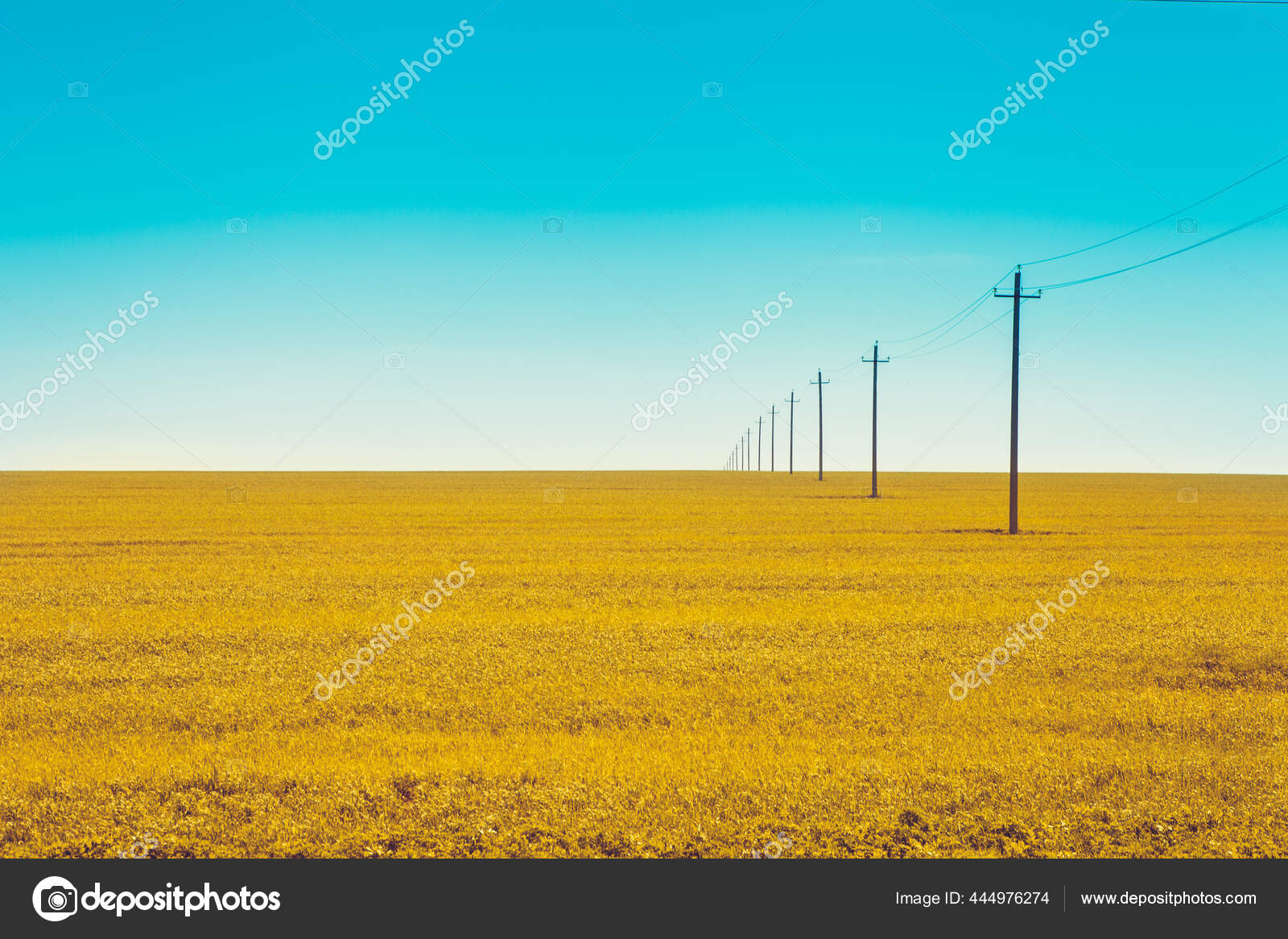 Beautiful Yellow Field Background — Stock Photo © Mulikov #444976274