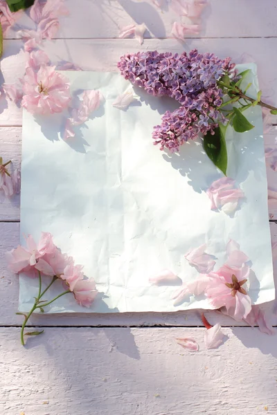 Fresh, romantic, rustic spring background with cherry flowers petals ...
