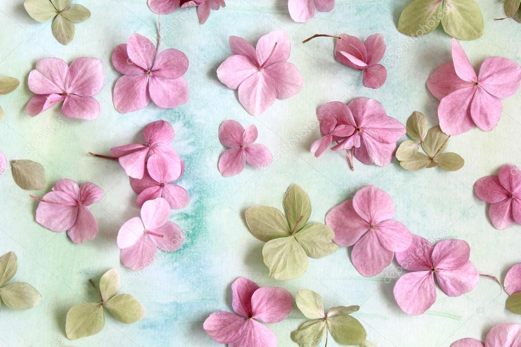 Subtle artistic floral background with hortensia flowers Stock Photo by ...