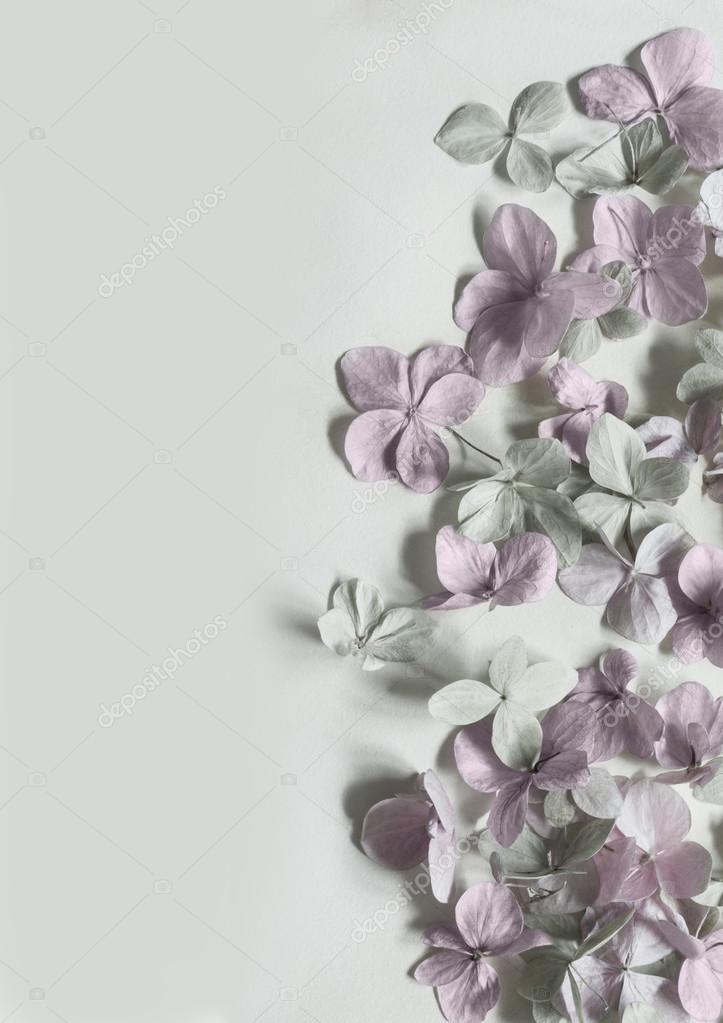 Subtle Floral Background