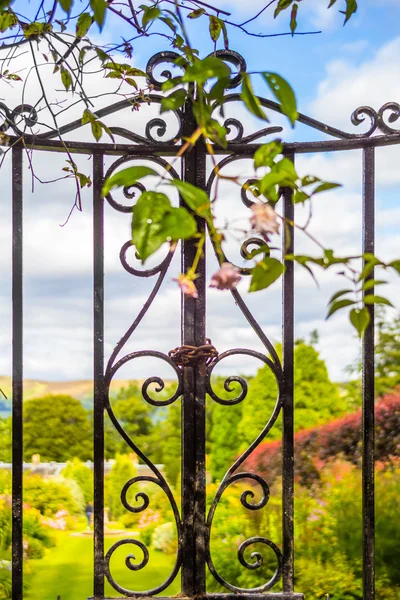 Old, beautiful wrought Iron Gate Stock Photo by ©Julietart 71647475