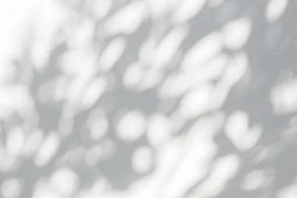 Natural Leaves Tree Shadow Background Tree Branch Falling White Fabric — Stock Photo © merrymuuu ...