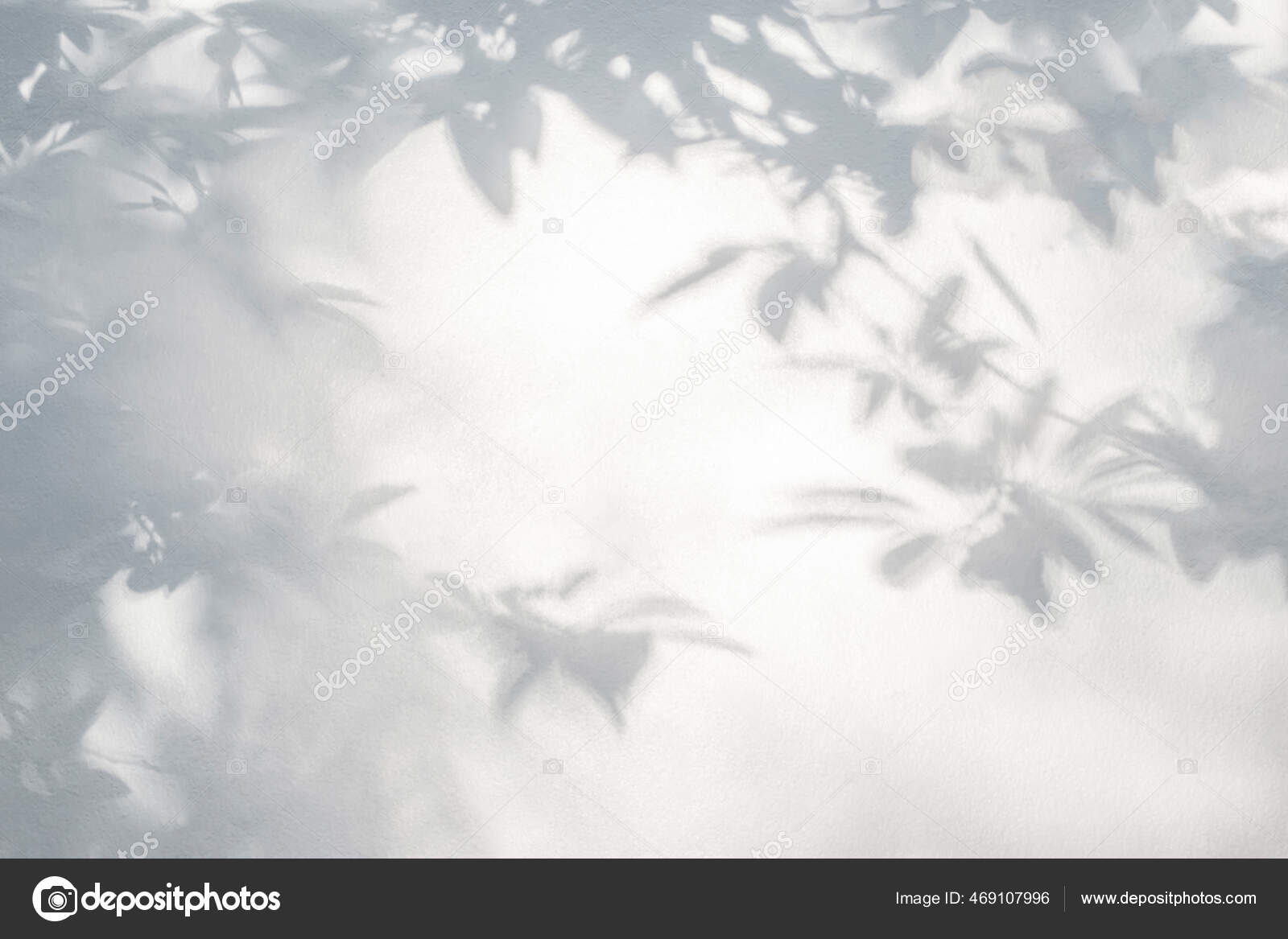 Leaf Shadow Tree Branch Background Natural Leaves Tree Branch Dark ...