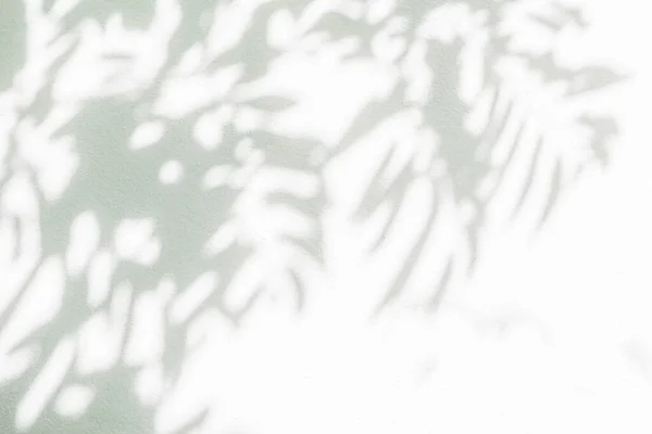 Leaf shadow Images - Search Images on Everypixel