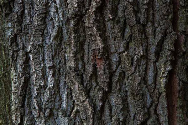 Portfolio: fotoduki | Stock Photos, Illustrations and Vector Art ...