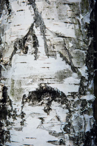 Portfolio: fotoduki | Stock Photos, Illustrations and Vector Art ...