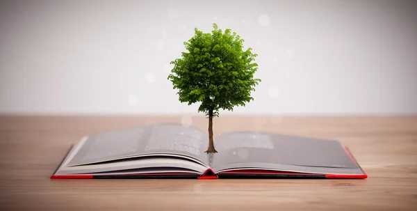 Open book tree Stock Photos, Royalty Free Open book tree Images ...