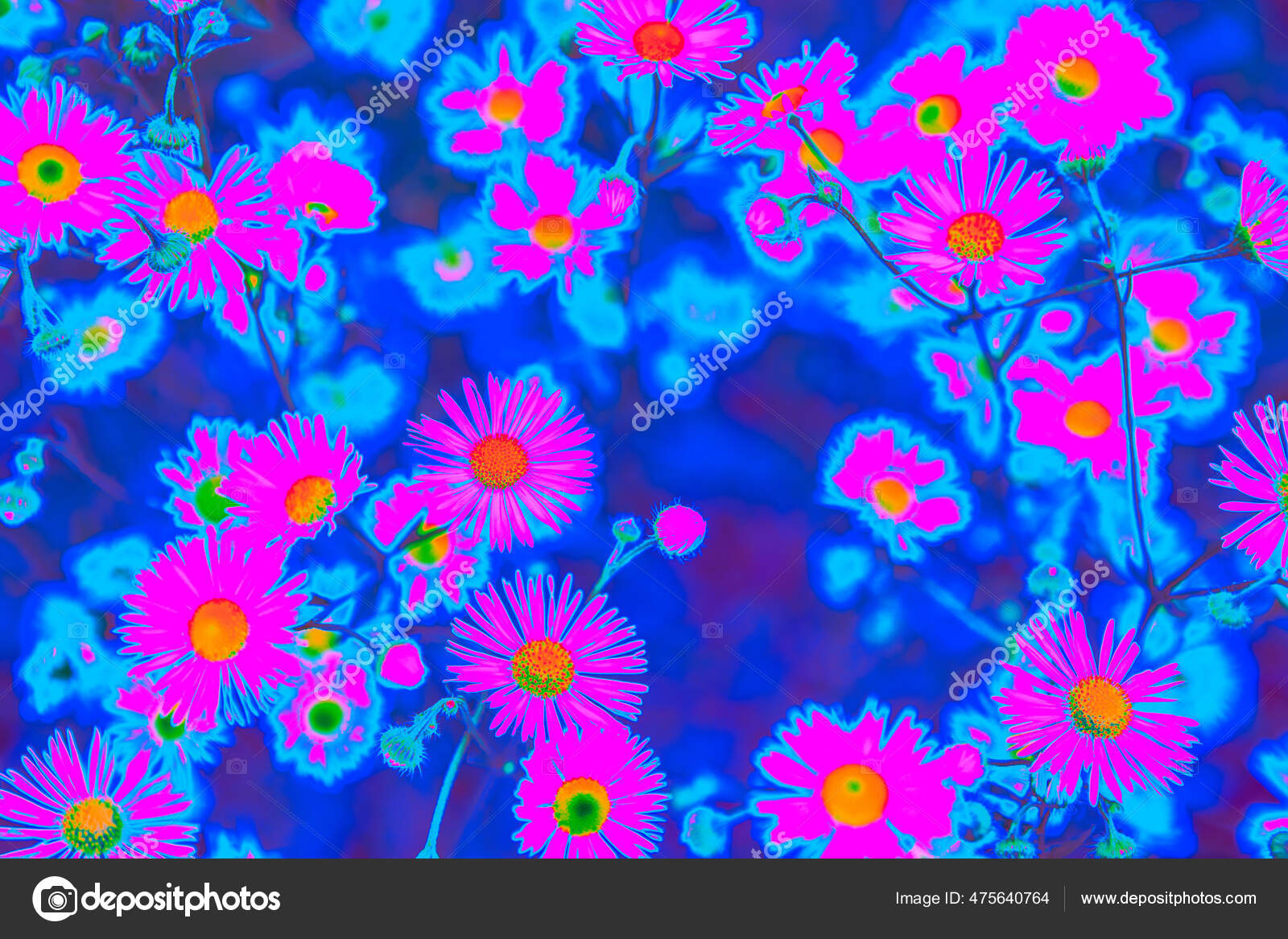 Flores De Color Rosa Neón