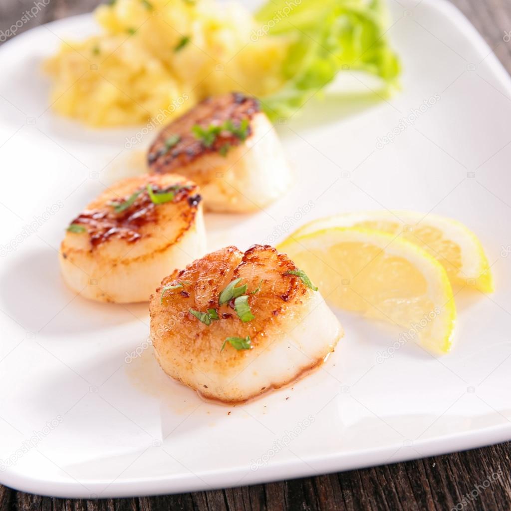 Seared scallop on plate Stock Photo by ©studioM 57461905