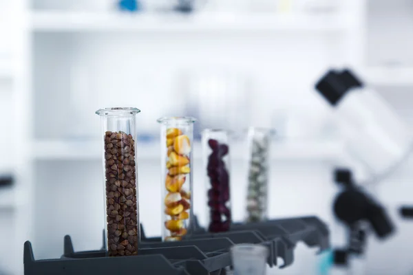 Chemical Laboratory of the Food supply . Food in laboratory, dna modify ...