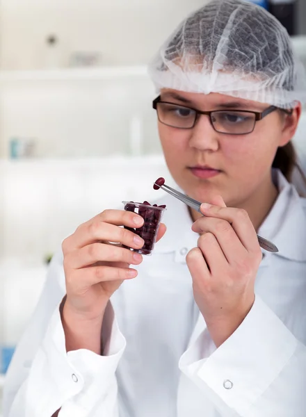 Laboratory assistant in the laboratory of food quality - Stock Image ...