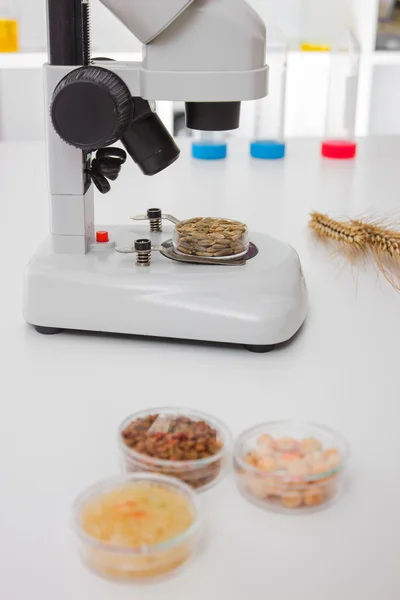 Chemical Laboratory of the Food supply . Food in laboratory, dna modify ...