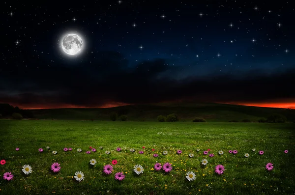 Beautiful night scenery Stock Photos, Royalty Free Beautiful night ...