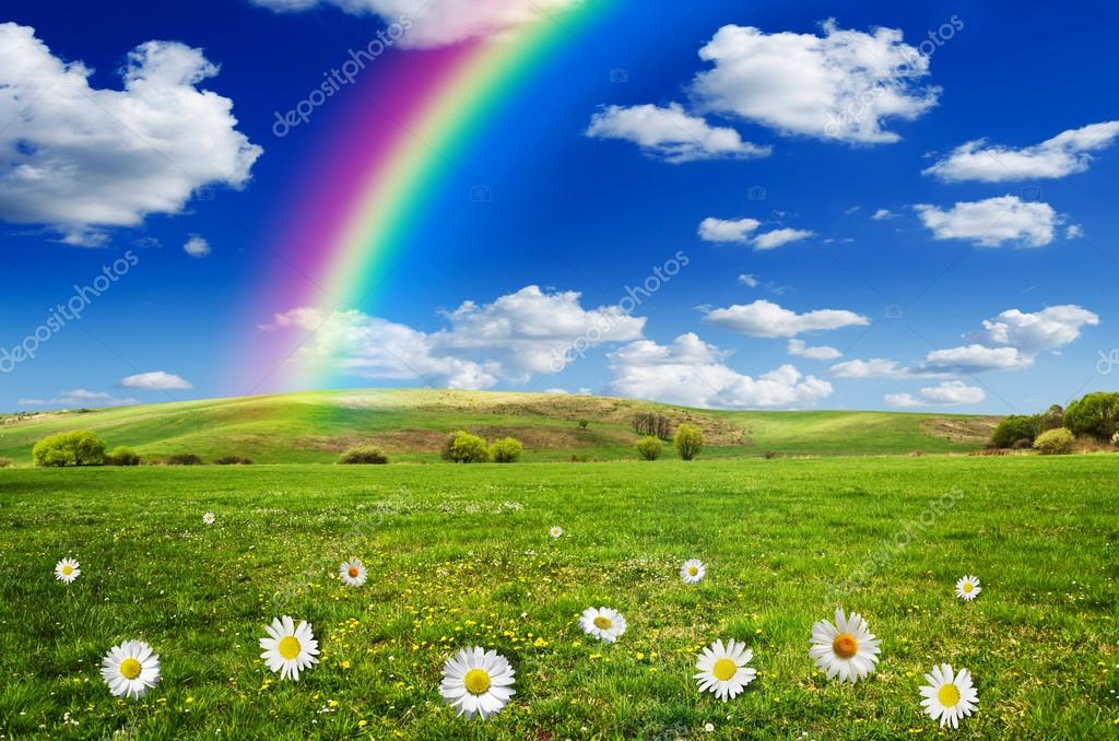 Sunny Day Background