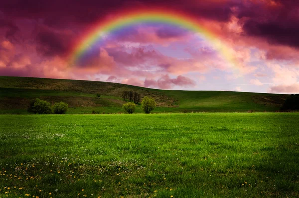 Beautiful field with rainbow at sunset or sunrise - Stock Image ...