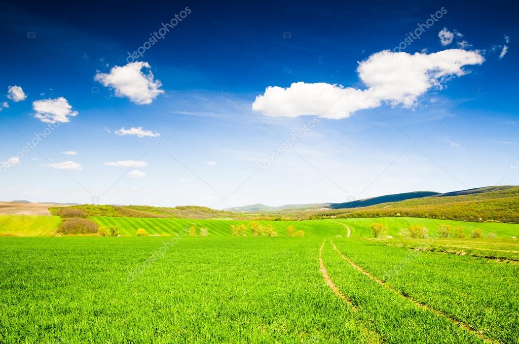 Green field view Stock Photo by ©klagyivik 95884134