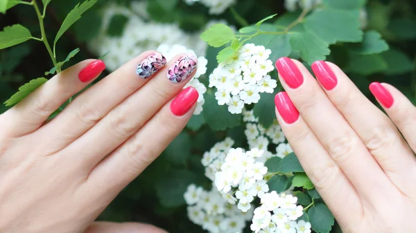 Nail design . Manicure nail paint . - Stock Image - Everypixel