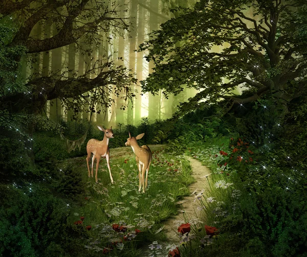 Enchanted forest Stock Photos, Royalty Free Enchanted forest Images ...